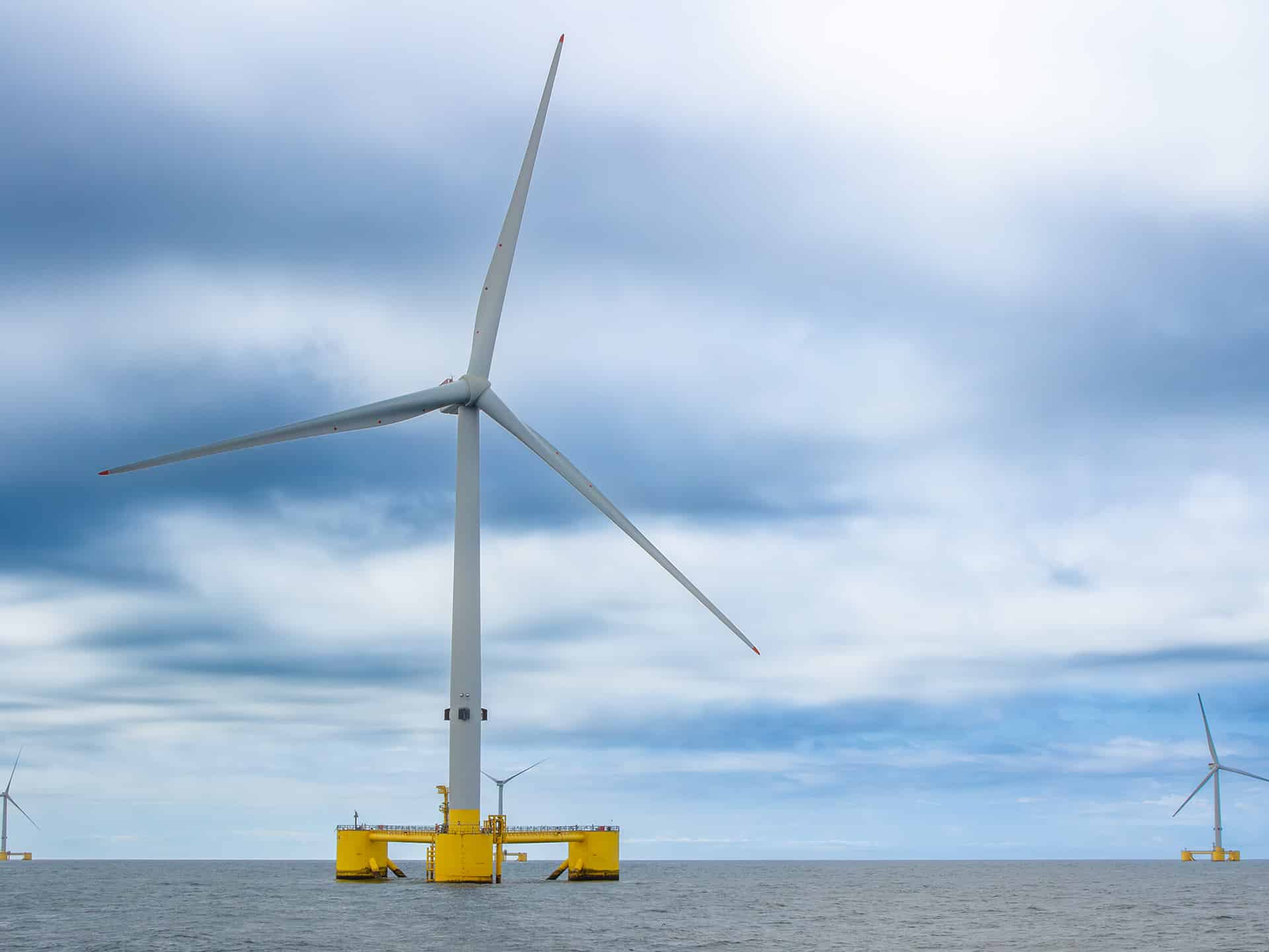 Further environmental information submitted to support White Cross ...